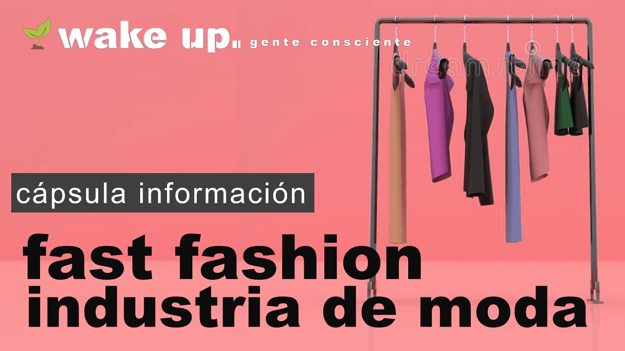Fast Fashion - how fast fashion works - Wake Up